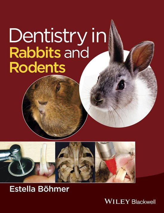 Dentistry in Rabbits and Rodents (ebook), E Boehmer | 9781118802588 ...