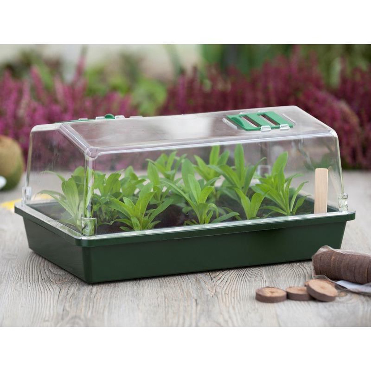Kweekbak/kweekkastje met deksel 37,5 cm - Tuinieren/Moestuinbak ...