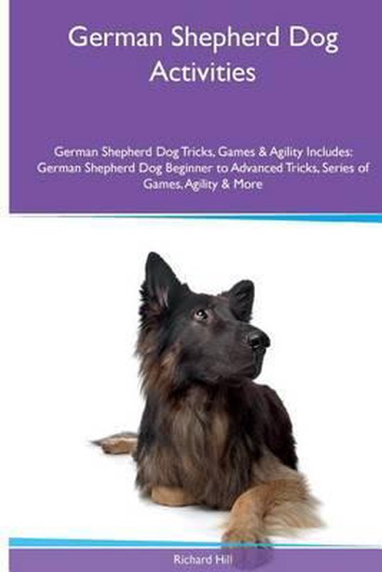 German Shepherd Dog Activities German Shepherd Dog Tricks, Games ...