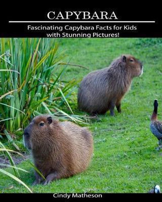 Capybara, Cindy Matheson | 9781076950093 | Boeken | bol.com