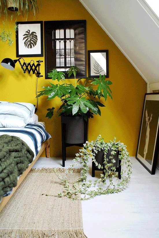 Plantenstandaard zwarte poten groot zwarte pot | bol.com