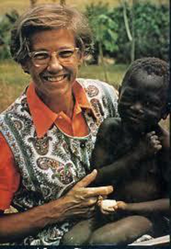 Schaduw van de morgen, Alan Burgess | 9789024642069 | Boeken | bol