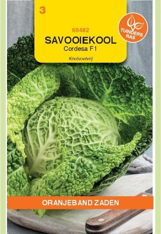 Oranjebandzaden - Savooiekool Cordesa F1 | bol