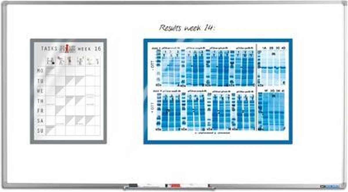Magnetische insteekhoezen A4, set à 5 stuks Geel - Insteekhoes ...