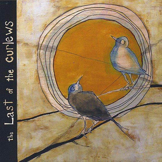 Last of the Curlews, Brett Kull | CD (album) | Muziek | bol.com