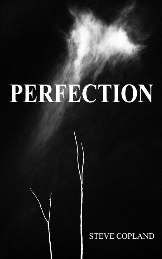 Perfection (ebook), Steve Copland | 9781465791269 | Boeken | bol