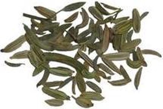 Venkelzaad wierookkruid - 9 g - 30 ml - M | bol.com