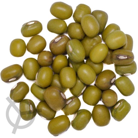 Taugé kiemzaden biologisch (Phaseolus radiata) 250 g | bol.com