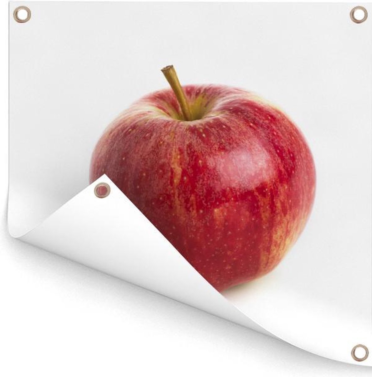 Tuin poster Appel - Rood - Fruit - 200x200 cm - Tuindoek | bol.com