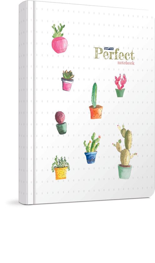 Gipta Notitieboek Hardcover/gelinieerd - 13 x 20 cm - 240 pagina's ...