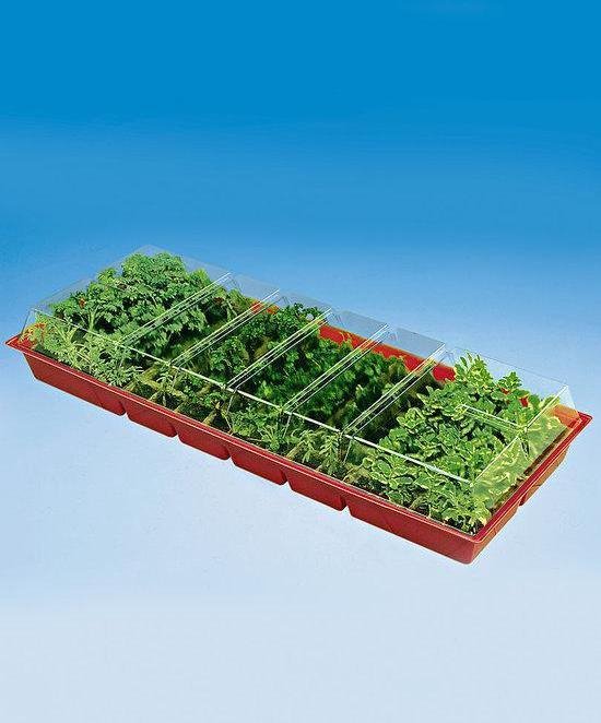 Zaaibak met turfpotjes | bol.com