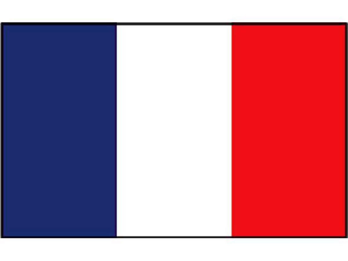 bol.com | FRANSE VLAG 100X150