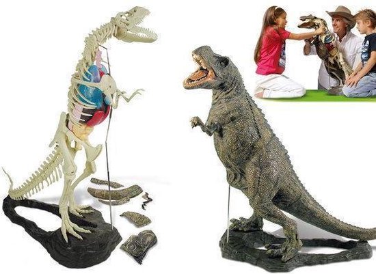 Geoworld T-Rex levensechte Dinosaurus replica met huid en organen ...