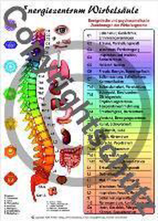 Energiezentrum Wirbelsäule, Tanja Aeckersberg | 9783940832450 | Boeken | bol.com