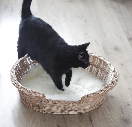 Hondenmand Riet - Rieten Rotan Kattenmandje - Kattenmand met Echt ...