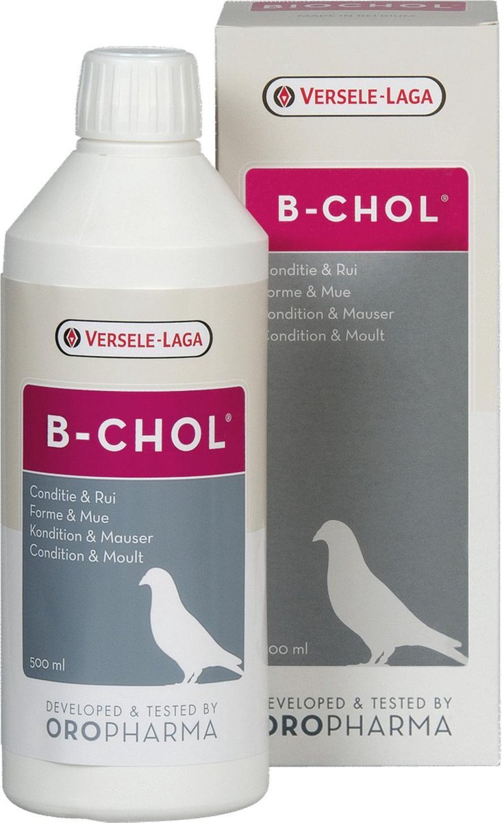 Biochol (B-chol) - 500 ml | bol