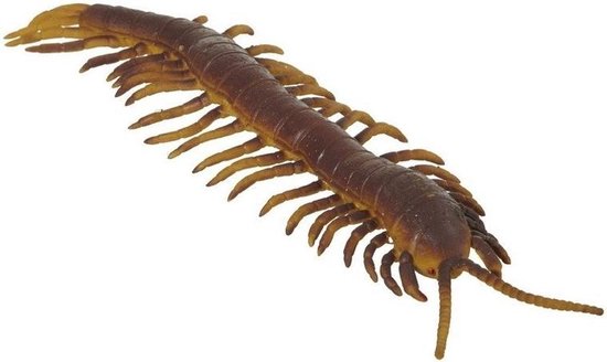 Rubberen duizendpoot/rups bruin 30 cm | bol.com