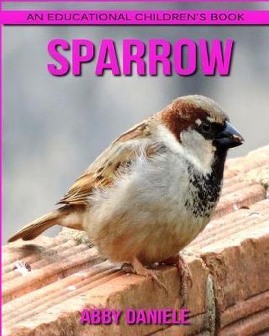 Sparrow! An Educational Children's Book about Sparrow with Fun Facts ...