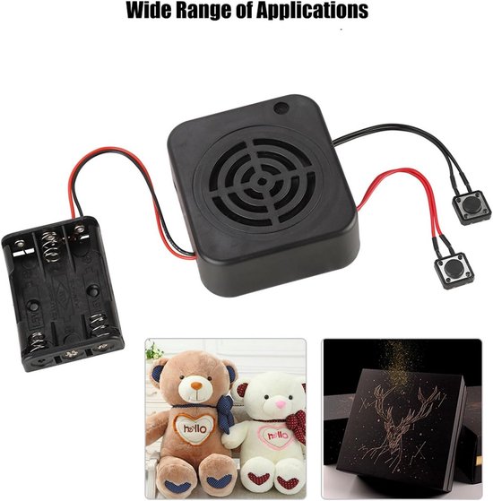 Opnamebox voor DIY-projecten en Cadeaus - 2 Minuten Voice Recorder | bol