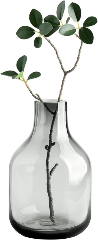 Glazen Vaas Rond 20 cm - Handgeblazen Bloemenvaas voor Huisdecoratie en ...