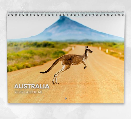 Maandkalender 2026: Overzichtelijke Wandkalender A4 met Notities en ...