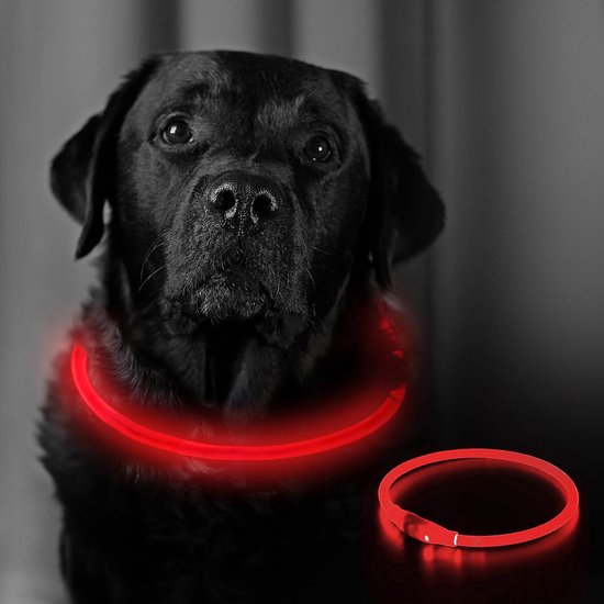 LED Light Collar for Dogs, USB Rechargeable Adjustable Length, Safety ...