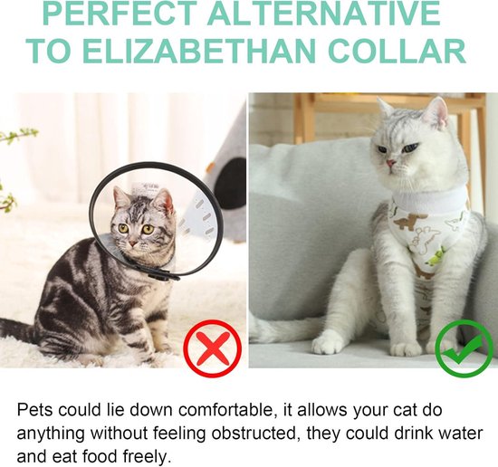 Herstel Pak Voor Kat - Dinosaurus - Chirurgisch - Alternatief - E ...