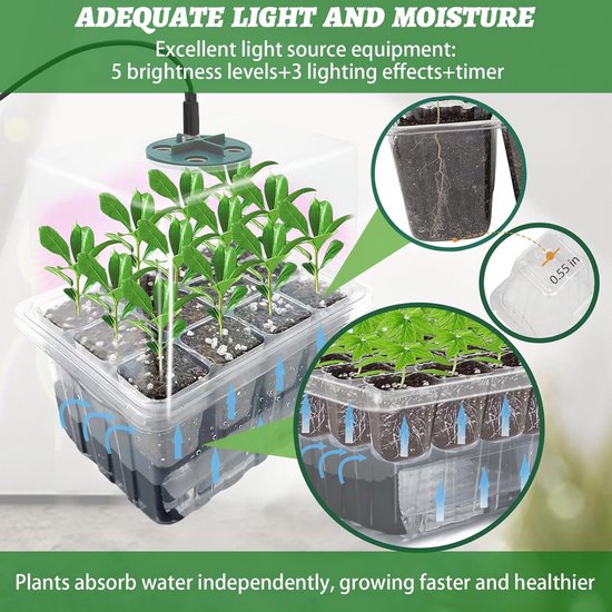 Mini Kweekkas Grow Box - Zelfwaterend Kweekset met 6 Stukken en 72 ...