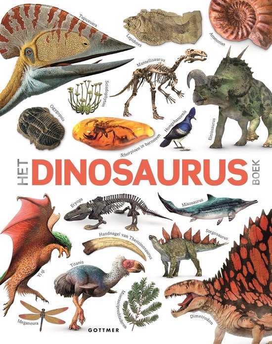 Grote Dinosaurus Encyclopedie voor Kinderen - Leer Alles Over ...