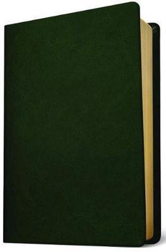 Baylor Annotated Study Bible | 9781481308274 | Boeken | bol.com