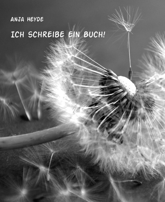 Ich schreibe ein Buch! (ebook), Anja Heyde | 9783739620909 | Boeken ...