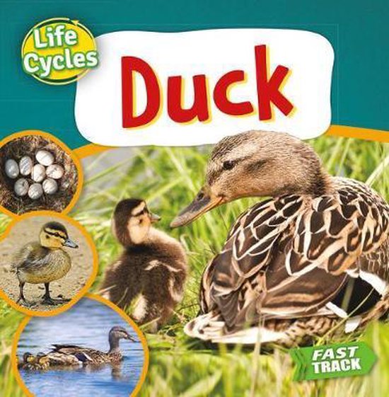 Life Cycles- Duck, Nancy Dickmann | 9781781215364 | Boeken | bol
