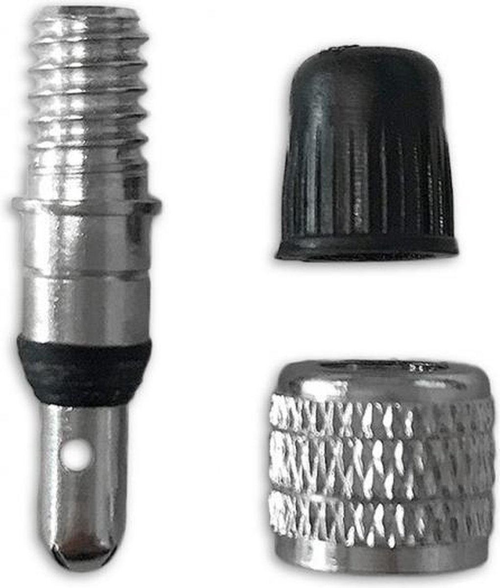 Dunlop Blitz Ventiel Hv Chroom 10 Stuks | bol.com