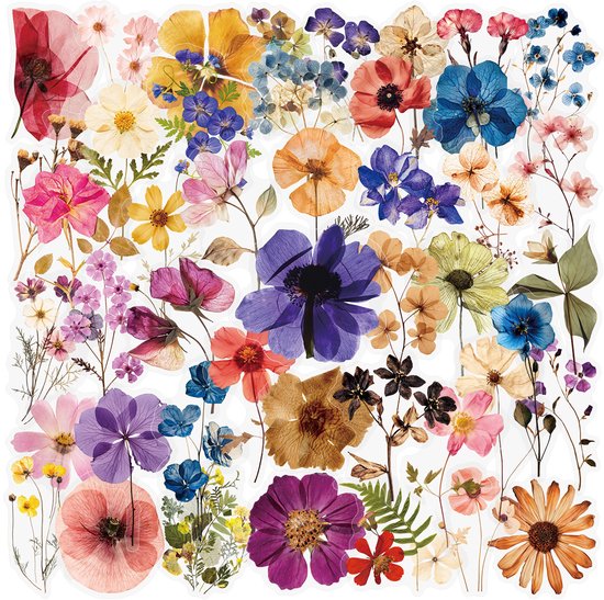 Stickers – Set van 50 transparante – reliëf botanische stickers (PET ...