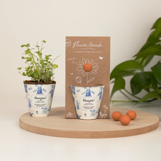 Blossombs Grow Kit – 1 Zaadbommetje – Voor jou! – Hollandse Mix ...