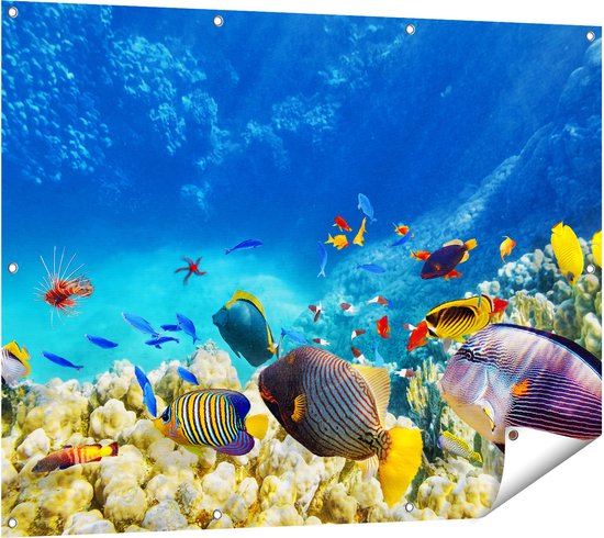 Gards Tuinposter Vissen in de Oceaan met Koralen - 120x90 cm - Tuindoek ...