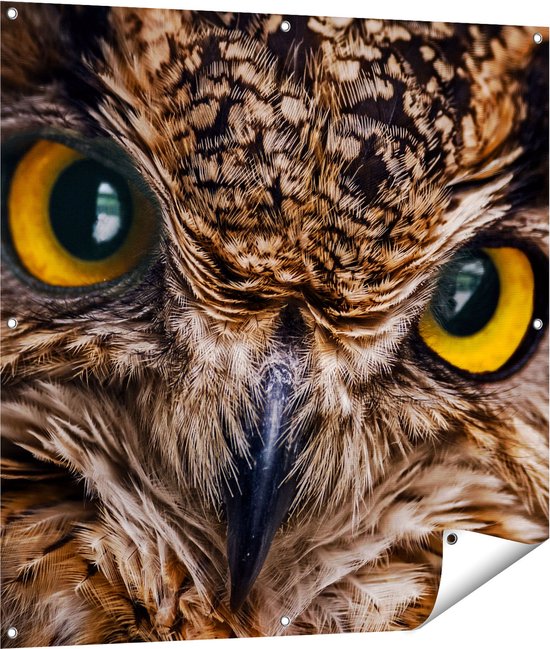 Gards Tuinposter Uilenkop met Gele Ogen - Uil - 100x100 cm - Tuindoek ...