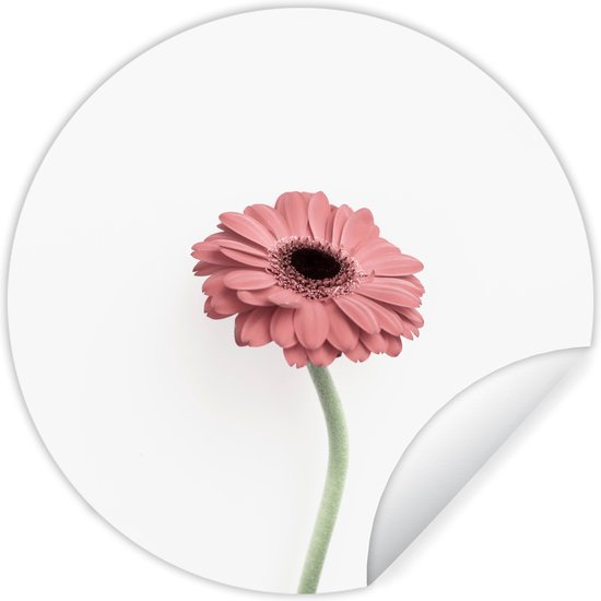 WallCircle - Muurstickers - Behangcirkel - Bloemen - Roze - Natuur - Wit - Plant -... | bol
