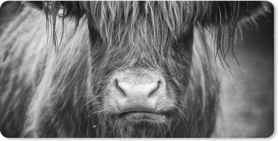 Muismat XXL - Bureau onderlegger - Bureau mat - Schotse hooglander ...