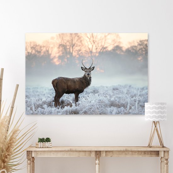 Plexiglas Schilderij Edelhert in de Winter | bol