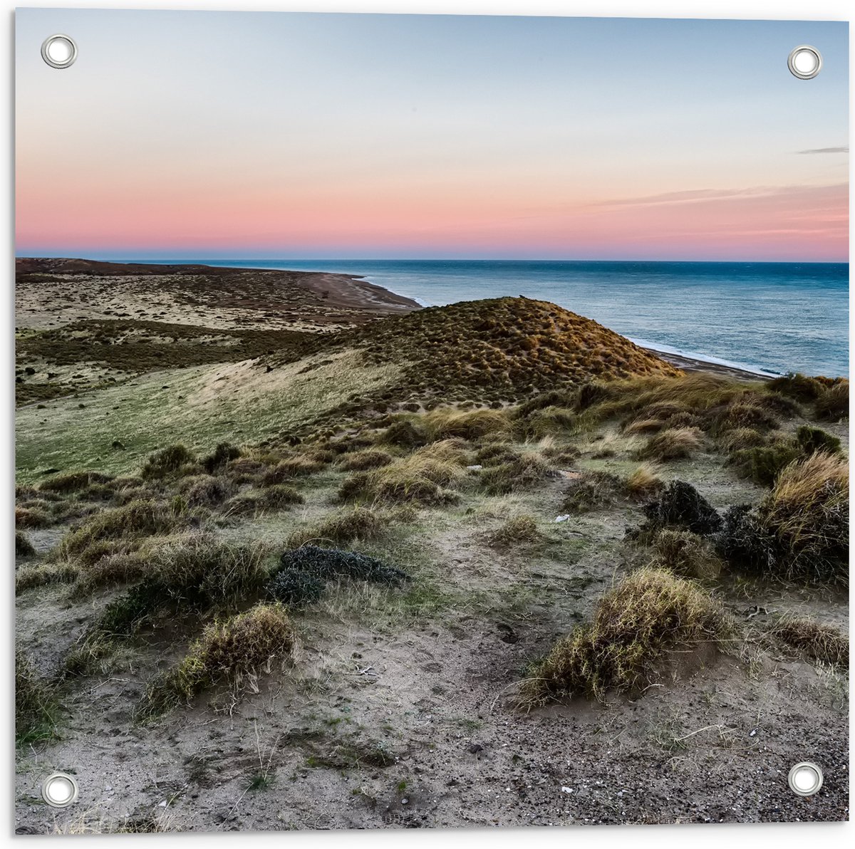Tuinposter – Rozekleurige Zonsopkomst bij de Zee en Duinen - 50x50 cm Foto op... | bol.com