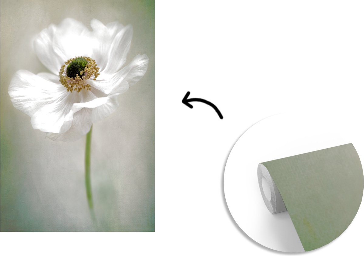 Bloemen - Natuur - Anemoon - Wit | bol