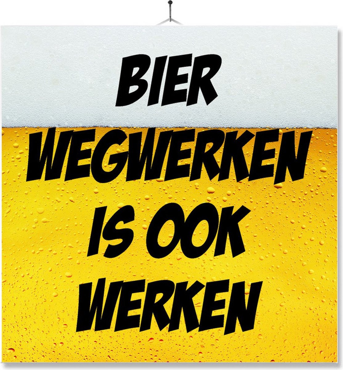 Tegel Met Opdruk | Grappig | Humor | Verjaardag kado | Bier wegwerken ...
