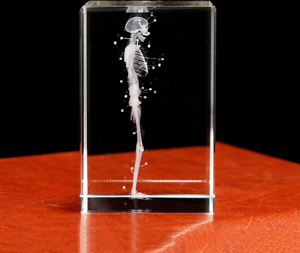 Crystal 3D Laser Gegraveerde Mens Anatomisch Mensen Skelet Model ...
