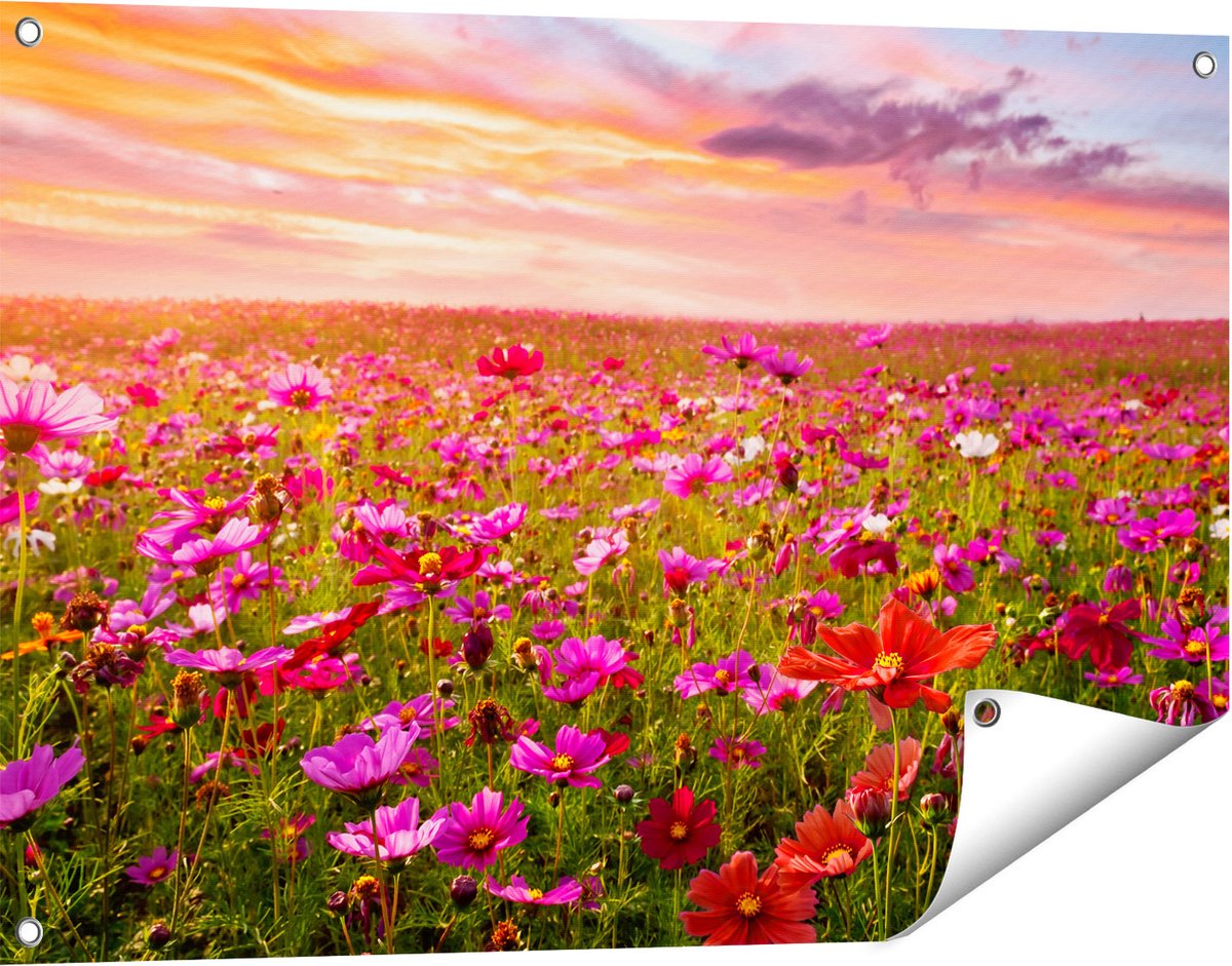 Gars Affiche de jardin Cascade transparente dans la nature tropicale ...