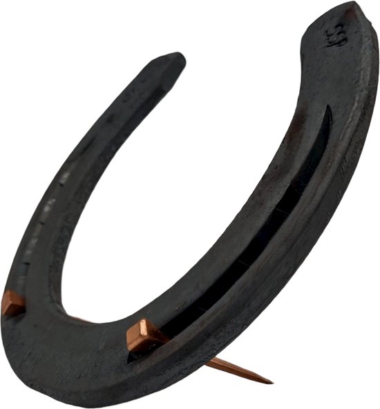 hoefijzer - geluk van een echt hoefijzer - decoratie | bol