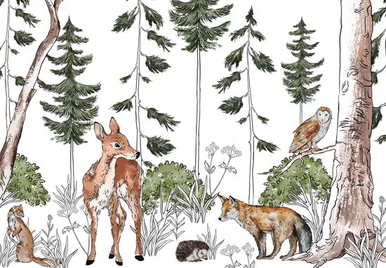 Fotobehang - Dieren - Bos - Cartoon - Woud - Witte Achtergrond ...