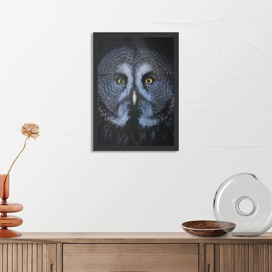 Poster Uil Hoofd Close Up Rechthoek Verticaal Met Lijst M (30 X 40 CM ...