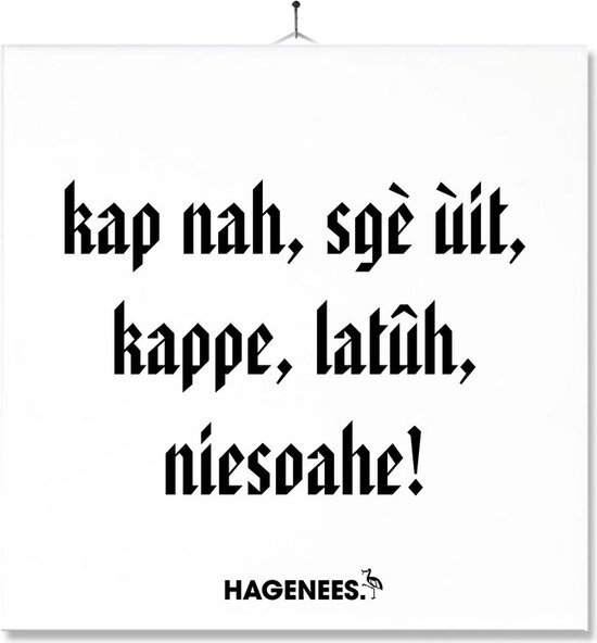 Tegel Met Opdruk | Haagse tekst | bol