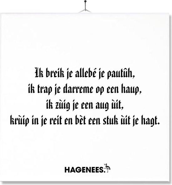 Tegel Met Opdruk | Haagse tekst | bol